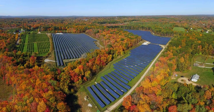 Solar Spotlight: Brookfield Orchards